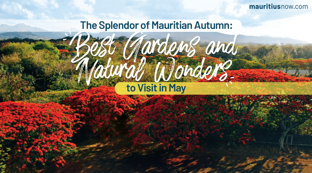 The Splendor of Mauritian Autumn: Best Gardens and Natural Wonders to ...