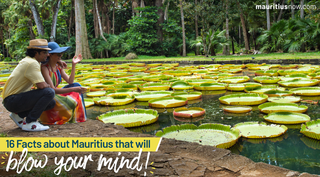 16 Facts About Mauritius That Will Blow Your Mind – Tourism Mauritius